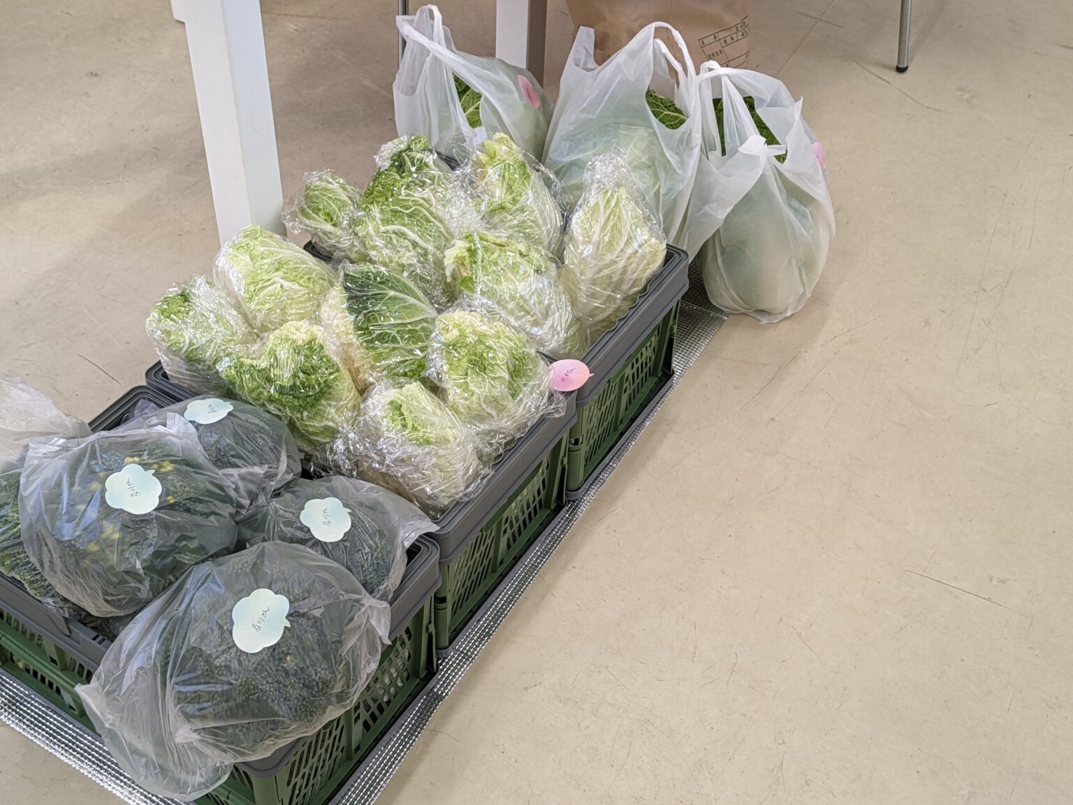 現在を生きるすべての人の“ケア”に“ワタシノコト”を語る居場所を - Piece 福祉と子育てをつなぐWEBメディア